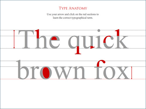 Type Anatomy | Adobe Education Exchange