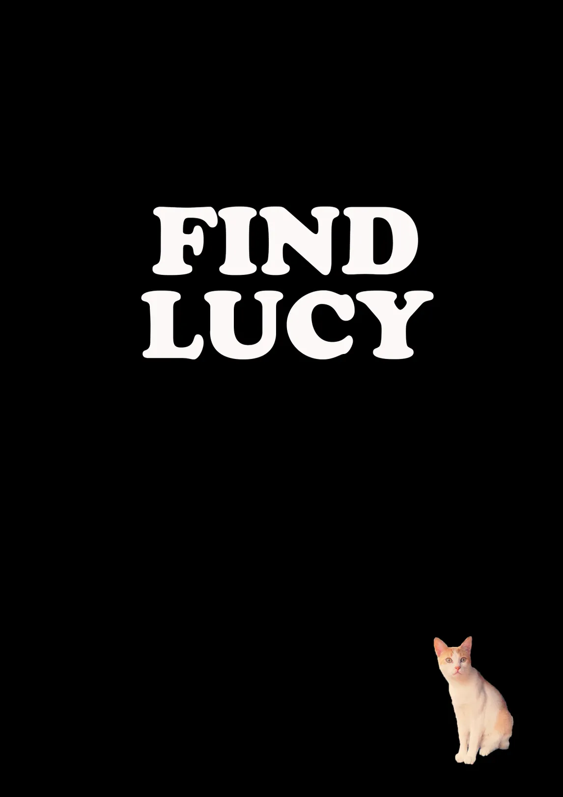 Finding Lucy - Poster design to introduce photoshop basics | Adobe ...
