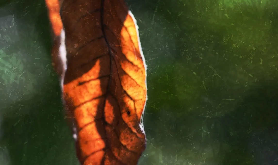 Create Custom Grunge and Texture Brushes | Adobe Education Exchange