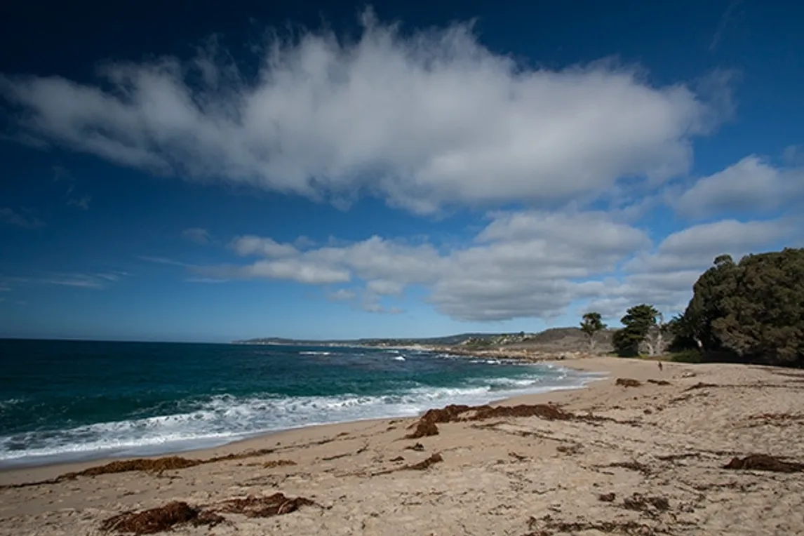 SkoStock Photos | California Coast | Adobe Education Exchange