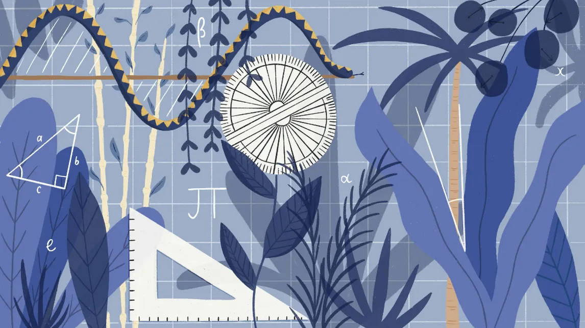 LESSON PLAN | Adobe Education Exchange