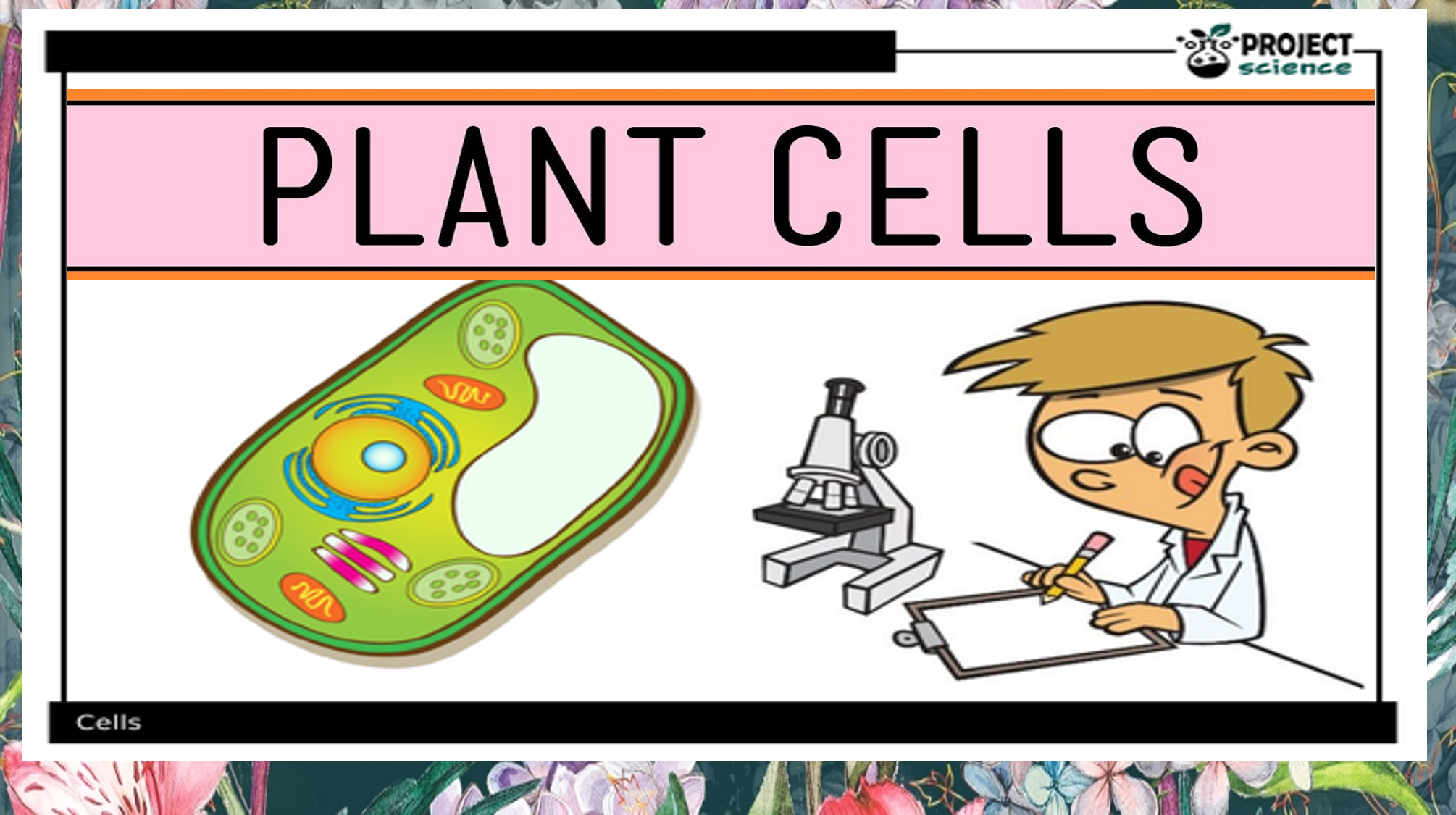 PLANT CELL | Adobe Education Exchange