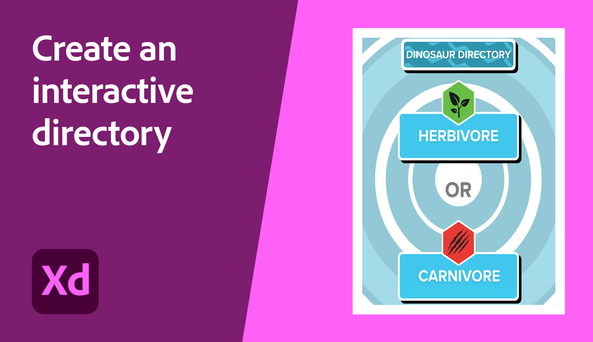 Create an interactive directory | Adobe Education Exchange