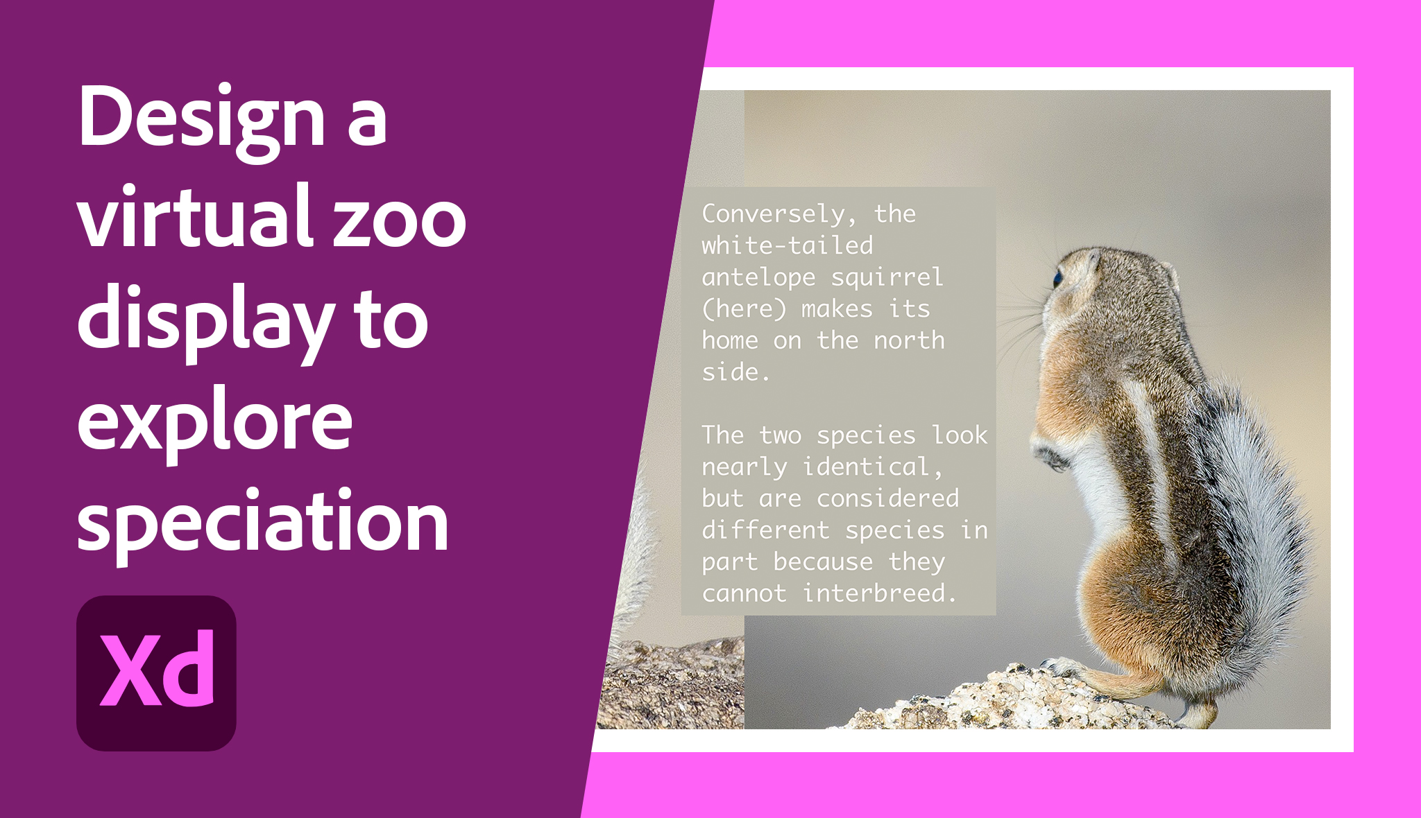 Design a virtual zoo display to explore speciation | Adobe Education ...