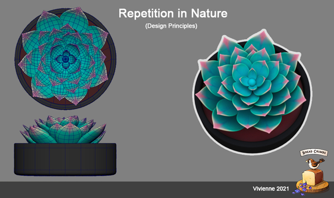 Repetition in Nature | Adobe Education Exchange
