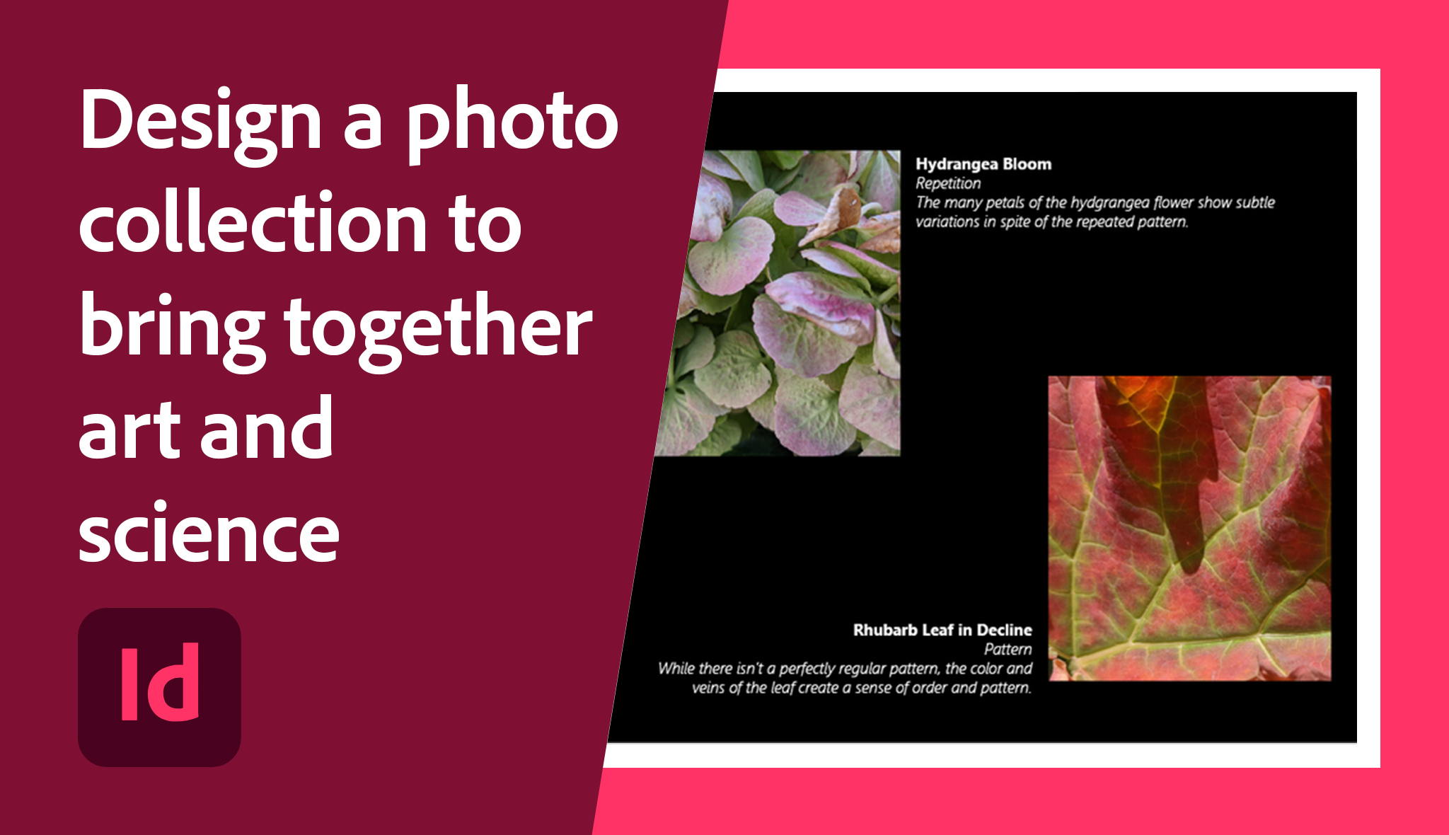 Design a photo collection to bring together art and science | Adobe ...