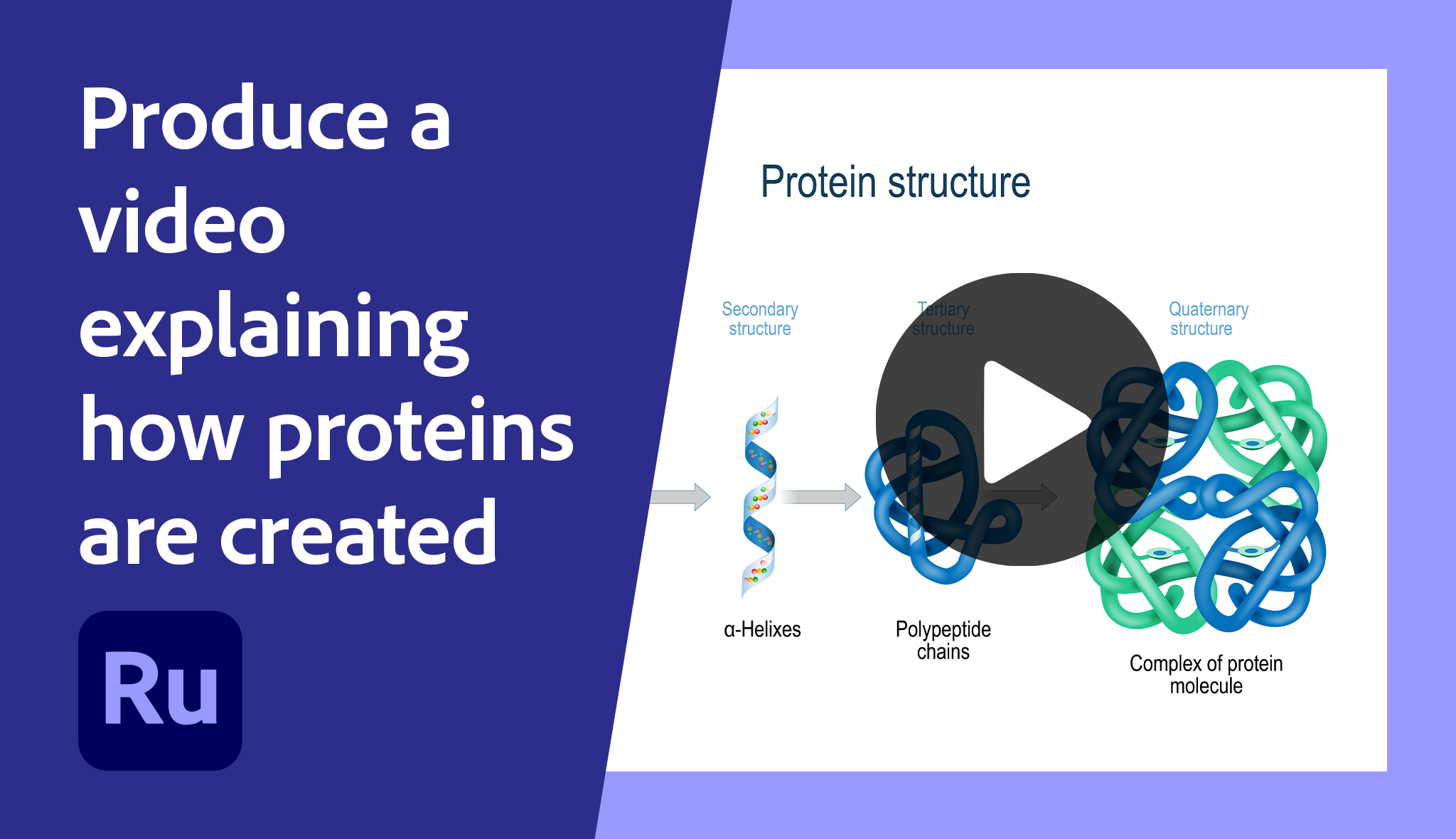 Produce a video explaining how proteins are created | Adobe Education ...