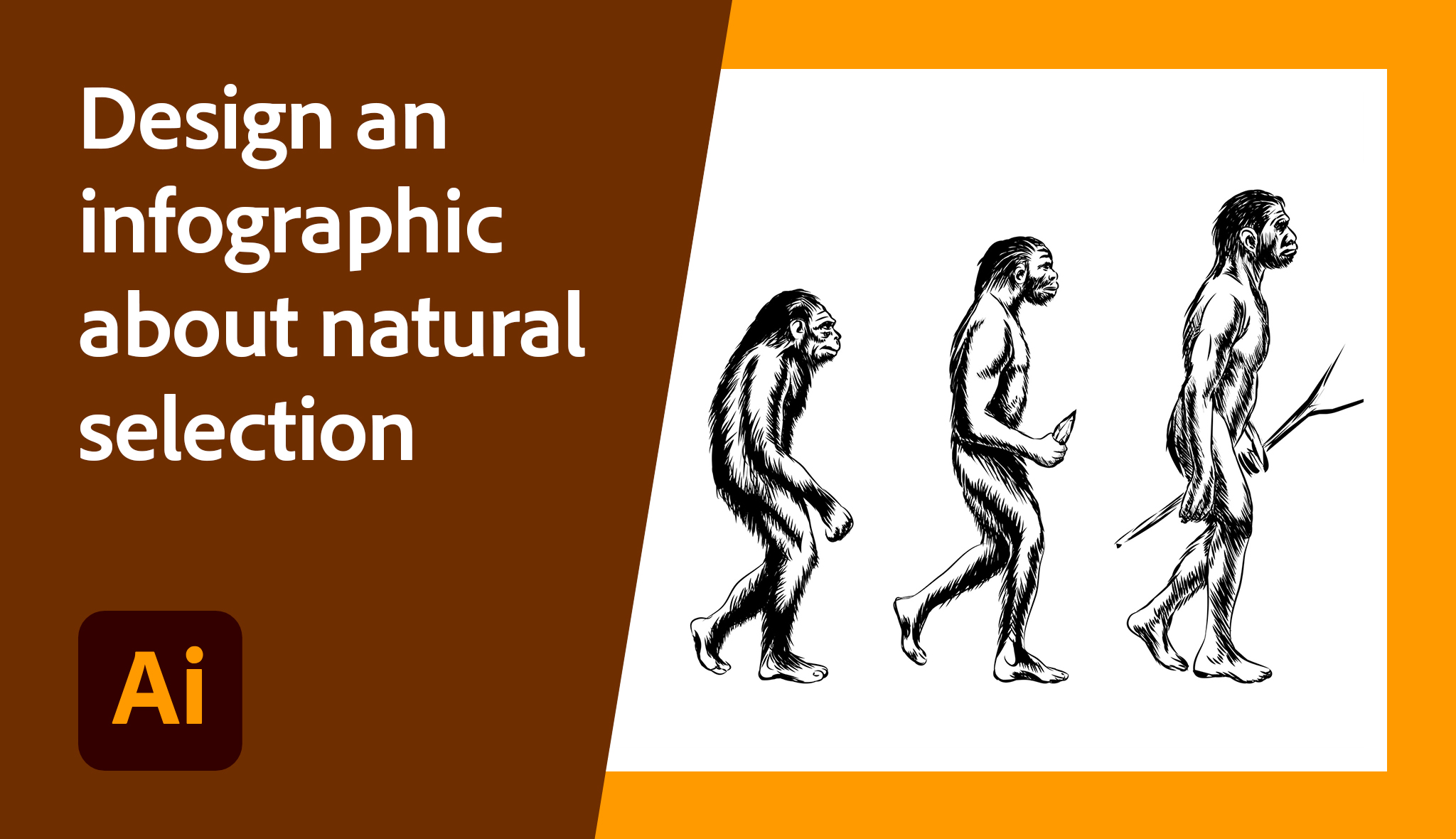 Design an infographic about natural selection | Adobe Education Exchange
