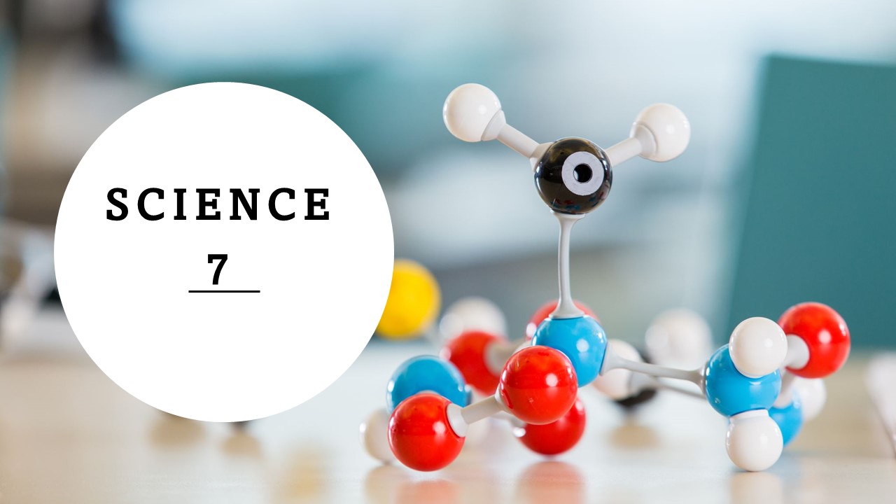 DETAILED LESSON PLAN In SCIENCE 7 | Adobe Education Exchange