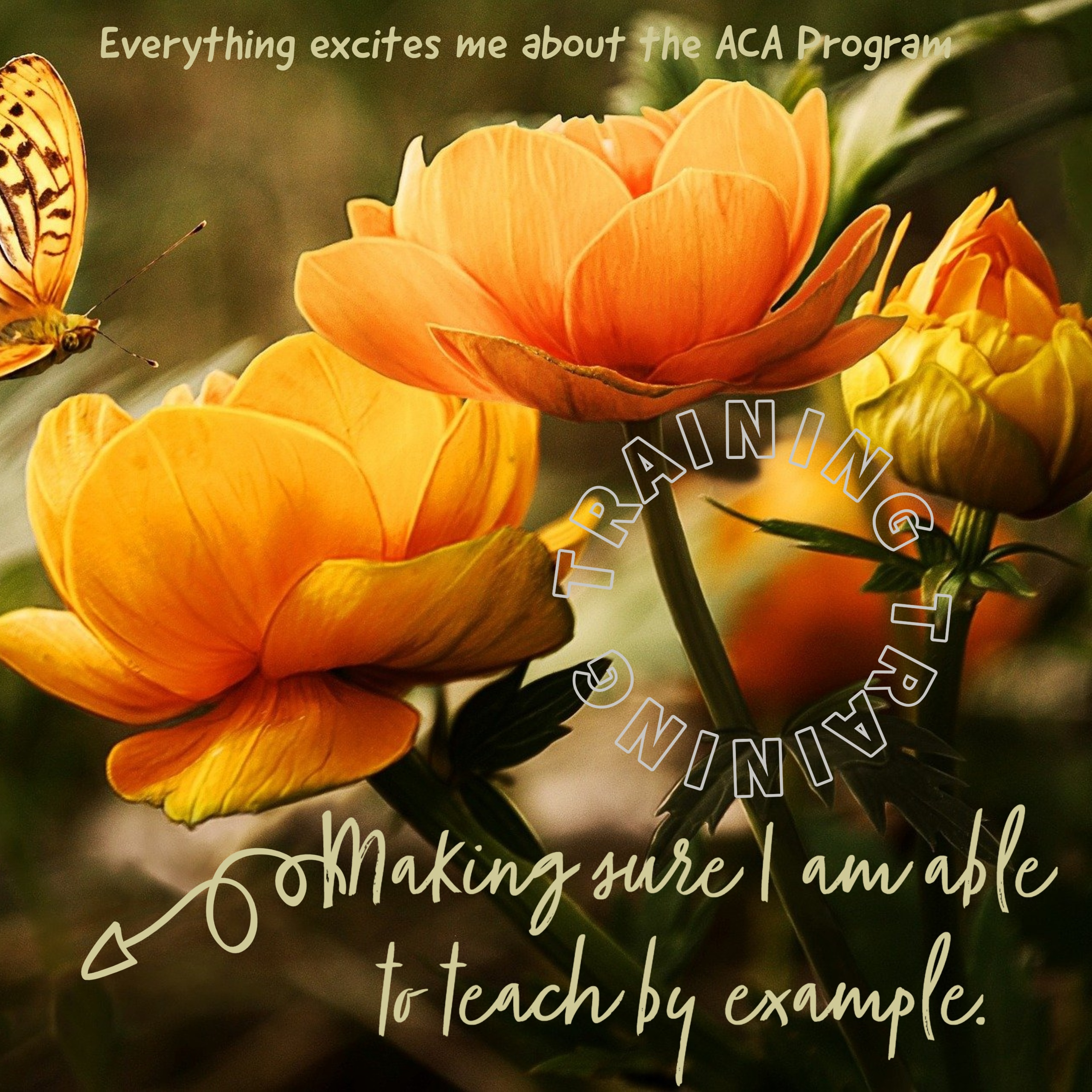 Adobe ACA Certification for CBT Students. A Transition Program. | Adobe ...