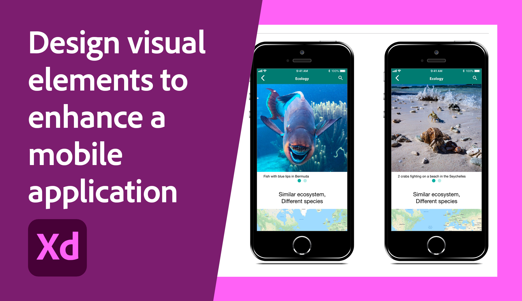 Design visual elements to enhance a mobile application | Adobe ...