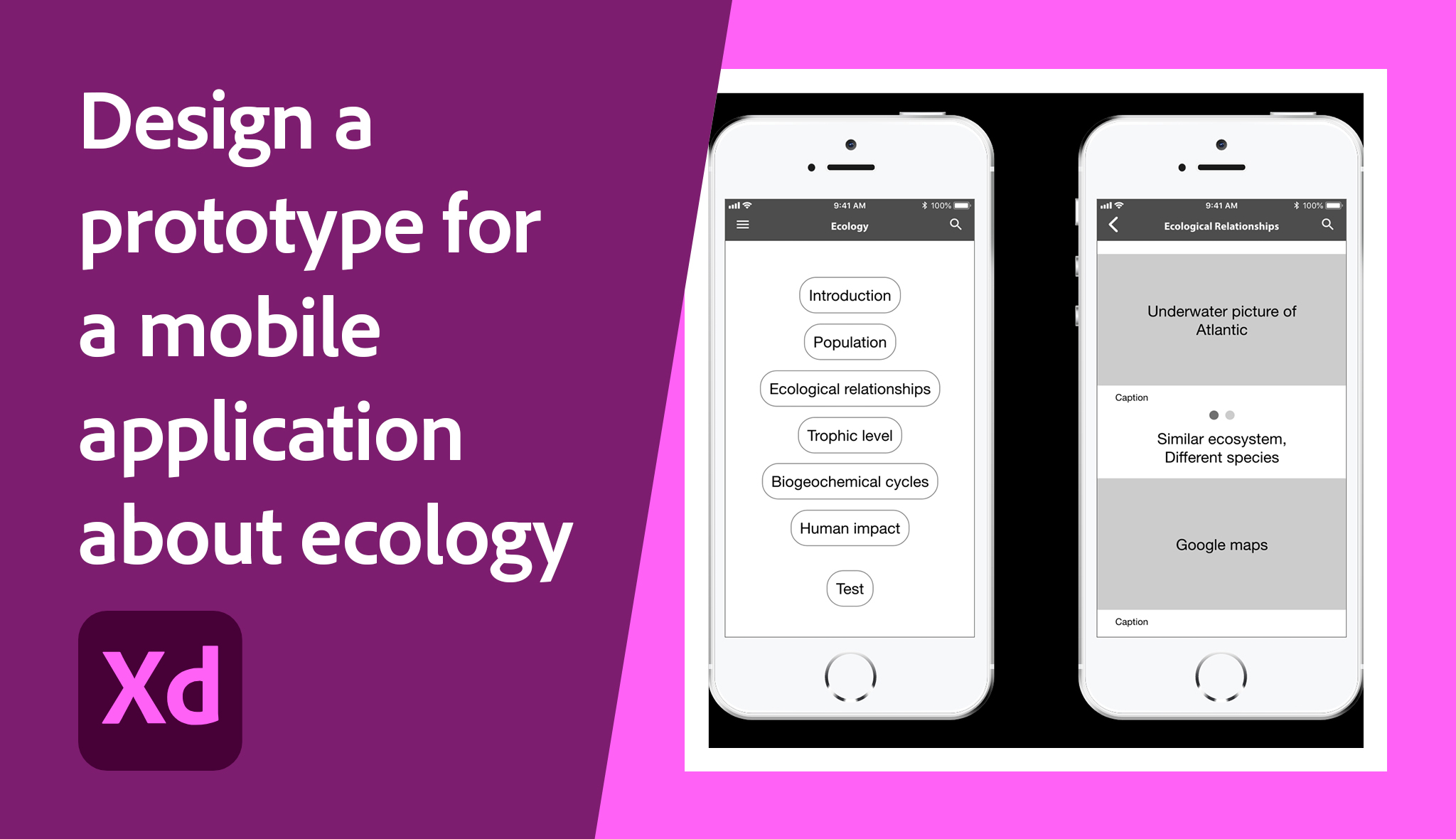 Design a prototype for a mobile application about ecology | Adobe ...