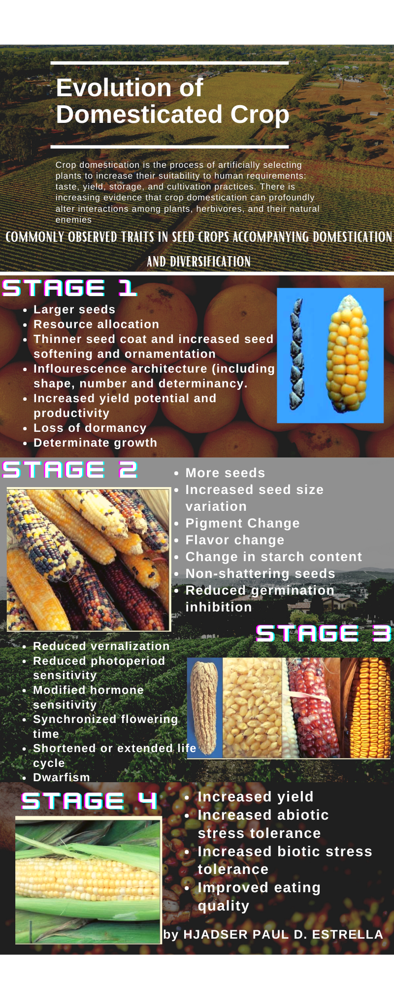 EVOLUTION OF SEED CROP DOMESTICATION | Adobe Education Exchange