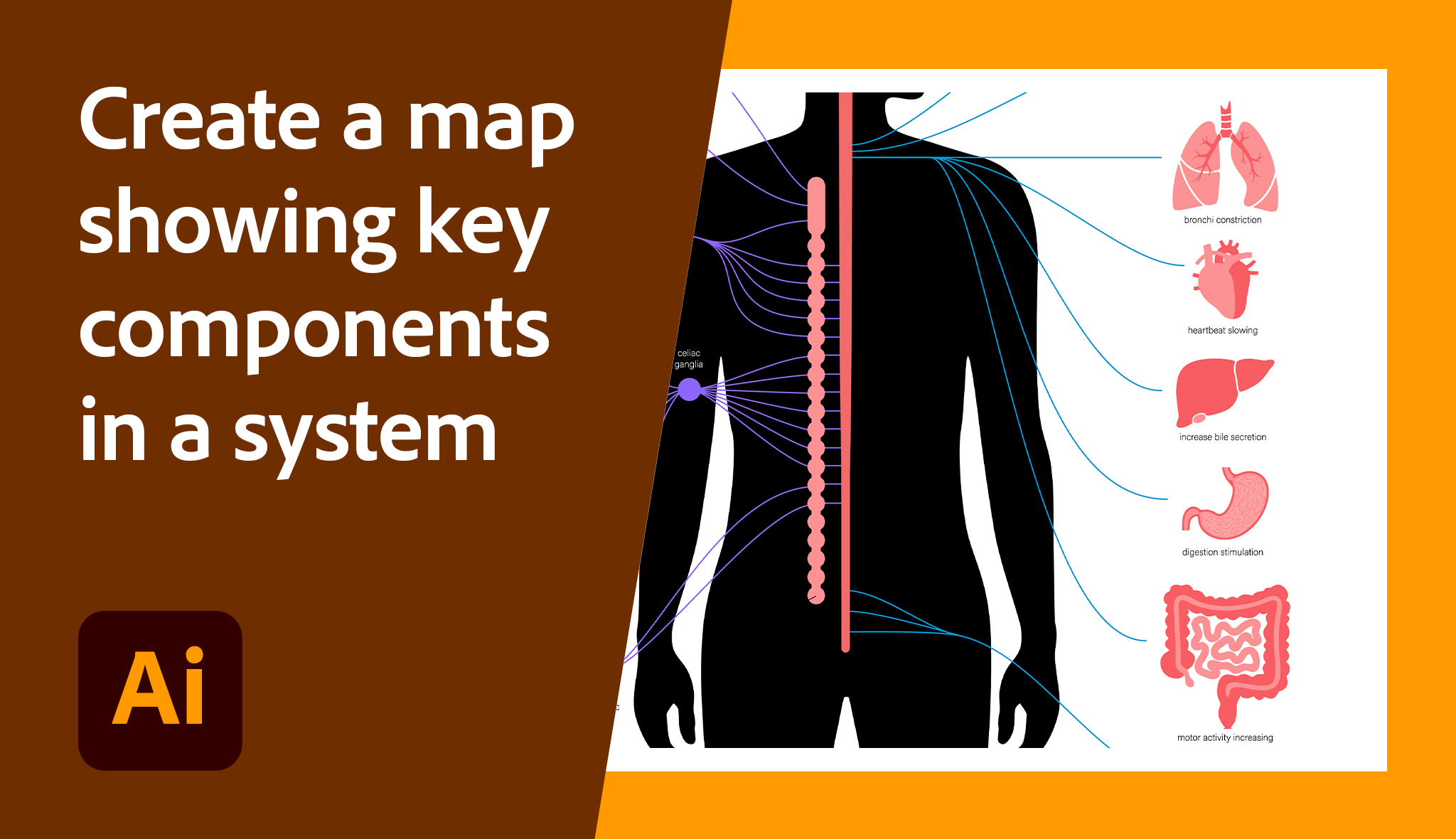 Create a map showing key components in a system | Adobe Education Exchange