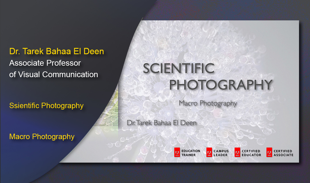 01 Scientific Photography - Macro Photography | Adobe Education Exchange